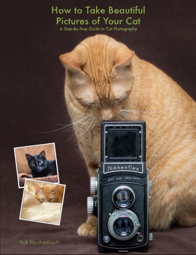 Amazon.com: How to Take Beautiful Pictures of Your Cat: A Step-By-Step ...