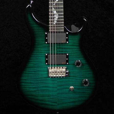 PRS SE Paul Allender Signature Model - Green with: Amazon.co.uk ...