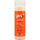 Amazon.com: Yes To Carrots Nourishing Shampoo for Normal to Dry Hair ...