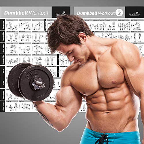 VOL 1+2 DUMBBELL EXERCISE POSTER 2-PACK LAMINATED - Workout Strength ...