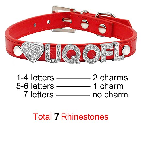 Didog Personalized Rhinestones Collar - Detailed Review - Dog Products ...