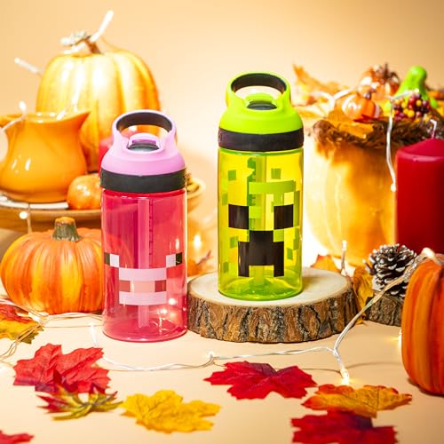 Zak Designs Minecraft Kids Water Bottle with Straw and Built in ...