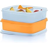 Amazon.com: Tupperware Lunch-It Portion & Go Lunch Box - Dishwasher ...