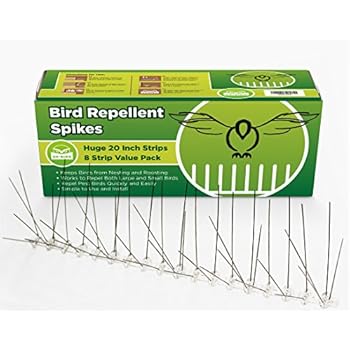 Amazon.com : Bird Spikes [13ft kit], Repellent Deters Birds Large/Small ...
