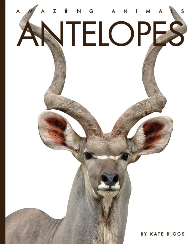 Antelopes (Amazing Animals): Riggs, Kate: 9781682771136: Amazon.com: Books