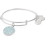 Amazon.com: Alex and Ani Arrows of Friendship Expandable Gold-Tone Bangle Bracelet: Jewelry