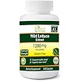 Amazon.com: Biotech Nutritions Wild Lettuce Extract 1200 mg Serving 120 ...