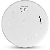 Amazon.com: First Alert SMCO210, 10-Year Sealed Battery Combination ...