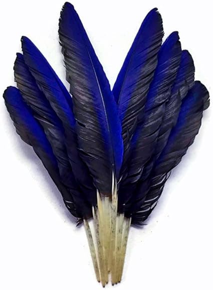 Moonlight Feather, Macaw Feathers - Iridescent Blue Hyacinth Macaw Wing ...