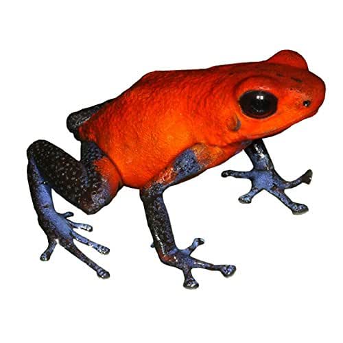 Amazon.com: Red and Blue Frog Decal - 5" tall x 6" wide : Handmade Products
