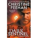 Amazon.com: Dark Sentinel (Carpathian Novel, A Book 32) eBook ...