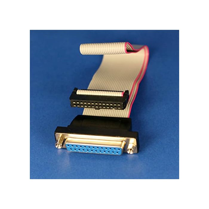 PCCABLES.COM 12in DB25 Female to 26 Pin Female 2.54mm Pitch IDC Ribbon ...