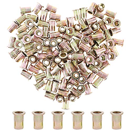 Hilitchi 120 Pcs 1/4-20 UNC Rivet Nuts Threaded Insert Nut (1/4-20 UNC ...
