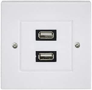 Amazon.com: Dual 2 USB 2.0 4.2A Receptacle Outlets Wall Plates Panel ...