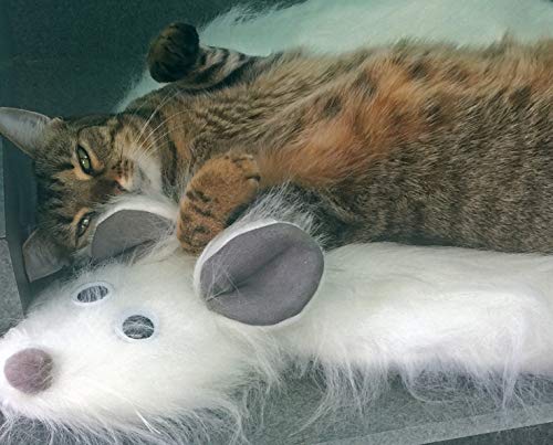 Kitty's Mouse Skin Rug (Cat Bed White, Naturally attracts and Calms ...