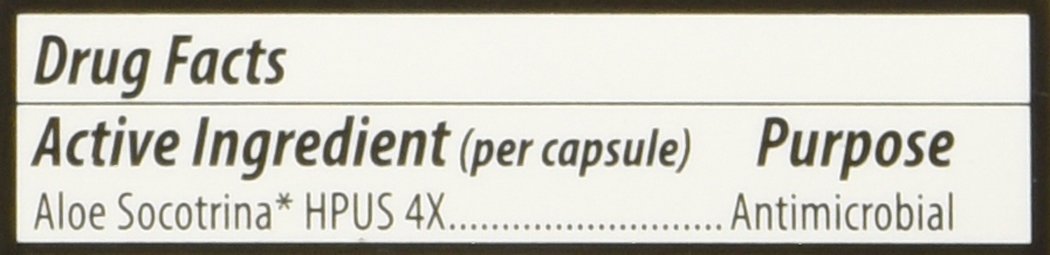 FLORAFEMME - pH Vaginal Probiotics Suppository - Supports pH Balance of ...