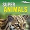 Super Animals (EDGE: Slipstream Non-Fiction Level 1): Amazon.co.uk ...