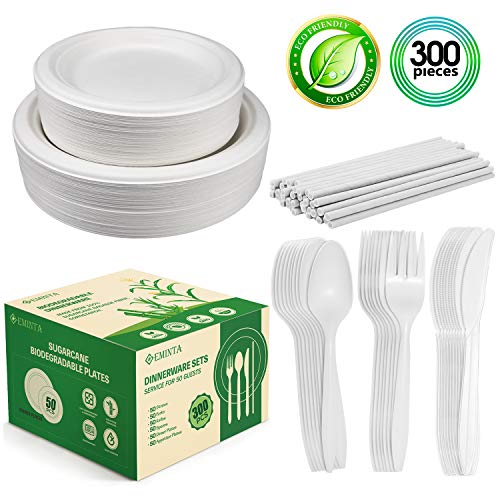 300Pcs Biodegradable Disposable Dinnerware Set, Microwavable Eco ...