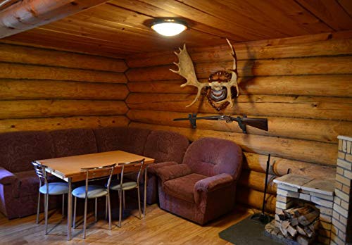 TESLYAR Gun Rack Wall Mount Hold Up Displays Horizontal Gun Rack and ...