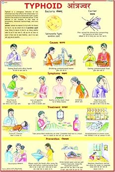 Amazon.in: Buy Typhoid Chart Book Online at Low Prices in India ...