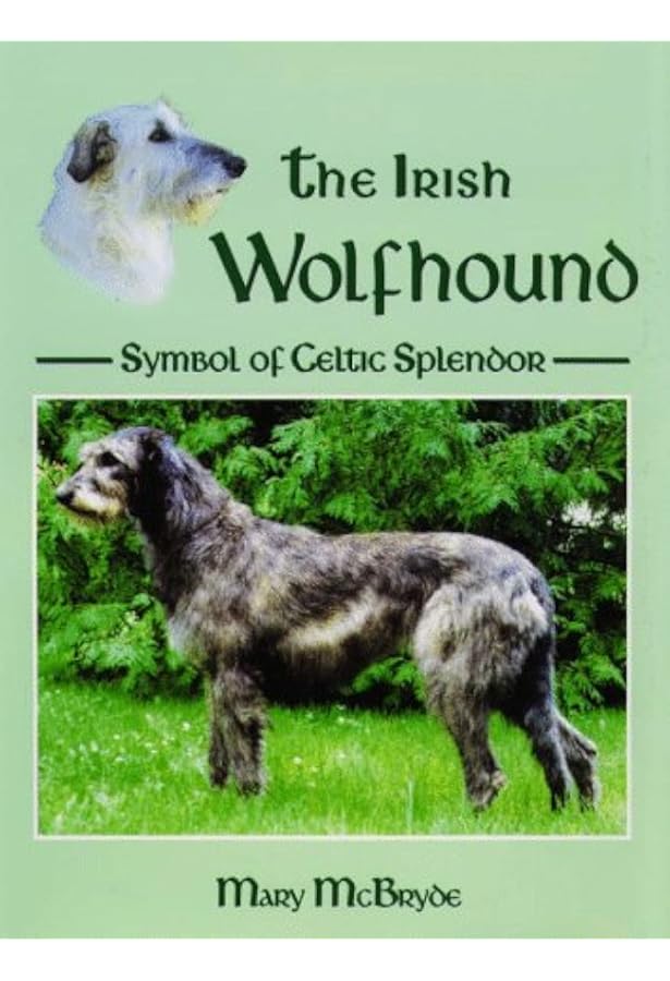 Irish Wolfhound Attack