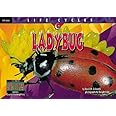 Lady Bug (Life Cycles): Schwartz, David M.: 0030554030635: Amazon.com ...