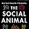 The Social Animal: A Story of How Success Happens: Amazon.co.uk: David ...