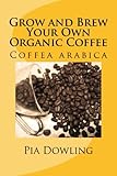 Grow Your Own Coffee Beans - The Green Head