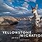 Amazon.com: Yellowstone Migrations (9781680510898): Joe Riis, Arthur ...