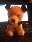 Amazon.com: Douglas Sheba German Shepherd Dog Plush Stuffed Animal ...