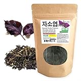 Perilla frutescens - How to grow & care