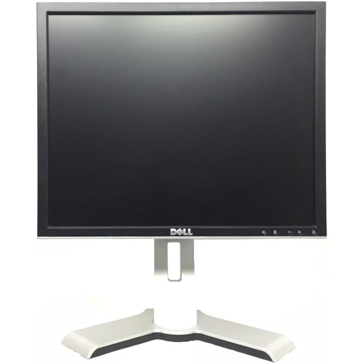 Roh Hahn Erbe dell monitor p190st Logisch aufführen Parlament