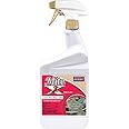 Amazon.com: Bonide Mite-X Insecticide and Miticide, 32 oz Ready-to-Use ...
