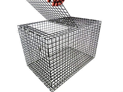 Tomahawk Model 402.4 - Medium Size Coated Fish Live Box - MasterBasser