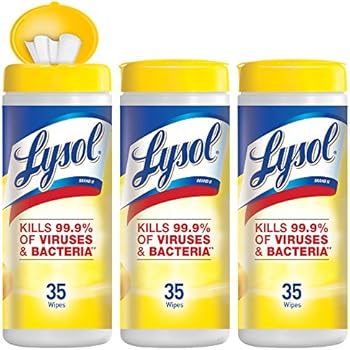 Amazon.com: Clorox Disinfecting Wipes Value Pack, Fresh Scent and ...