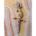 Amazon.com: Lizard Diamond Painting by Numbers - MaiYiYi 5D Full Round ...