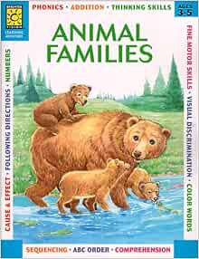 Animal Families (Learning Adventure Preschool): 9781552540060: Amazon ...
