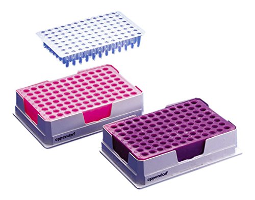 EPPENDORF 033185 Cryoblock rack PCR-Cooler blue and pink: Amazon.co.uk ...