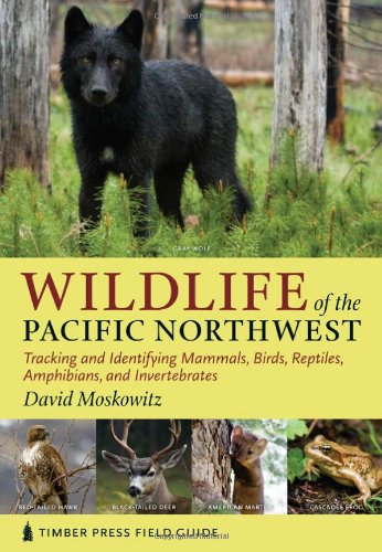 Wildlife of the Pacific Northwest: Tracking and Identifying Mammals ...