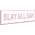 Amazon.com: HK Studio Funny Street Sign 8" x 17" - Slay All Day Teen ...