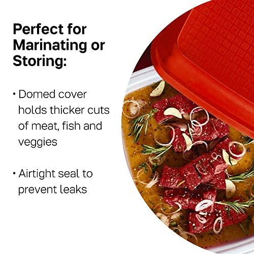 TUPPERWARE Brand Season-Serve Marinade & Food Storage Container with ...