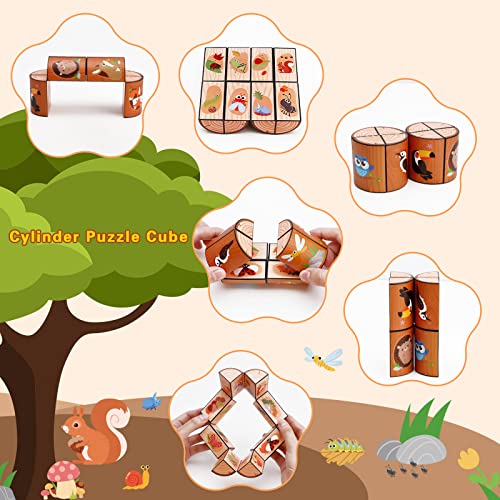 Star Cube Magic Cube Set (2 Piece), Transforming Cubes Magic Puzzle ...