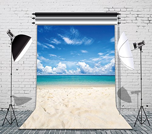 Mua LB Hawaiian Beach Photography Backdrop 5x7ft Vinyl Tropical Beach ...
