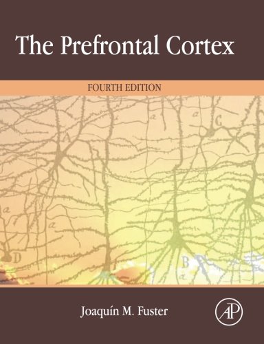 Amazon - The Prefrontal Cortex: Fourth Edition: Fuster, Joaquin M ...