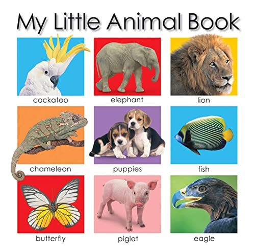 Amazon.com: My Little Animal Book (My Little Books): 9780312498078 ...