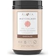 Amazon.com: Alaya Multi Collagen Powder - Type I, II, III, V, X ...