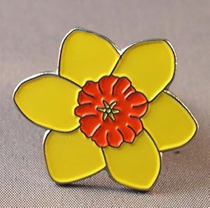 Metal Enamel Pin Badge Welsh Emblem Daffodil Flower: Amazon.co.uk ...