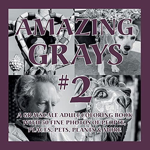 Amazon.com: Amazing Grays #2: A Grayscale Adult Coloring Book with 50 ...