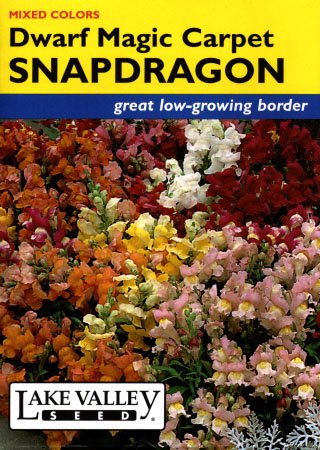 Lake Valley 410 Snapdragon Dwarf Magic Carpet Mix Seed Packet: Amazon ...