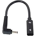 Amazon.com: cablecc Type C USB-C Female Input to DC 4.0x1.3mm Power PD ...